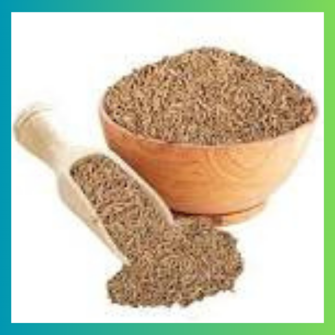 tejhaksh ayurveda - Jeera Seed | Cumin Seed | Cuminum cyminum | Jeera ...