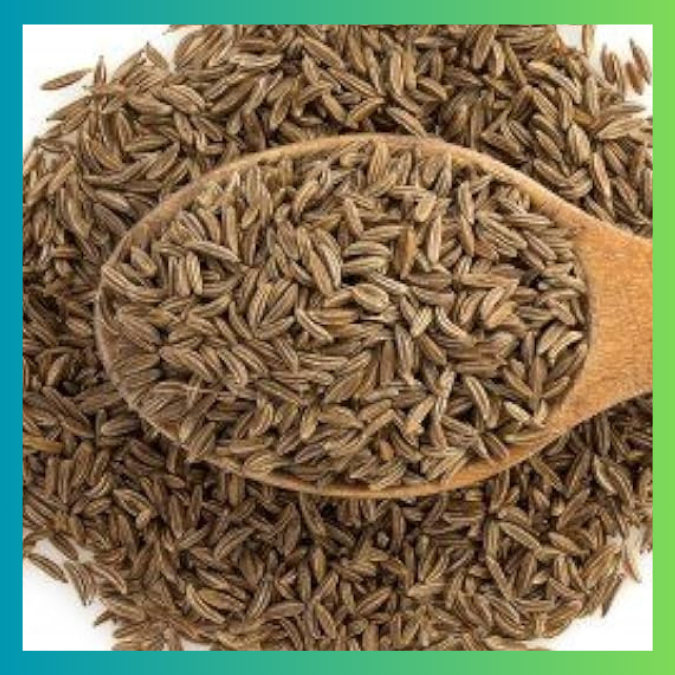 tejhaksh ayurveda - Jeera Seed | Cumin Seed | Cuminum cyminum | Jeera ...